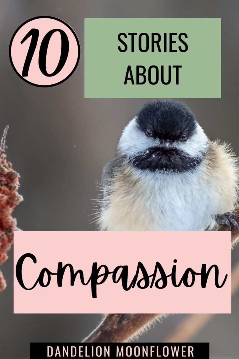 10 Real Life Animal Stories to Build Compassion and Empathy - Dandelion ...
